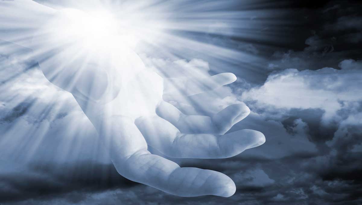 The Invisible Hand – Teacher – Feature